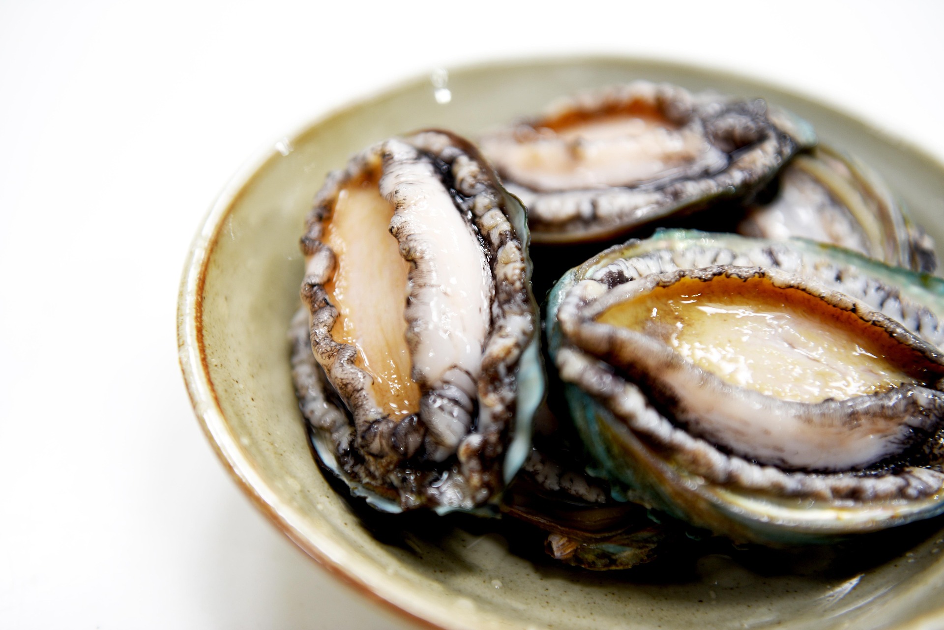 전복 영어로 Abalone, 오징어 영어로 Squid, 조개 영어로 Clam – 식당·여행에서 바로 쓰는 영어 - 잉글리시샘